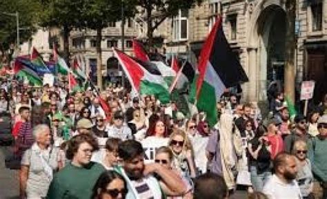 وكالة صفا مظاهرة لدعم فلسطين في العاصمة الأيرلندية دبلن