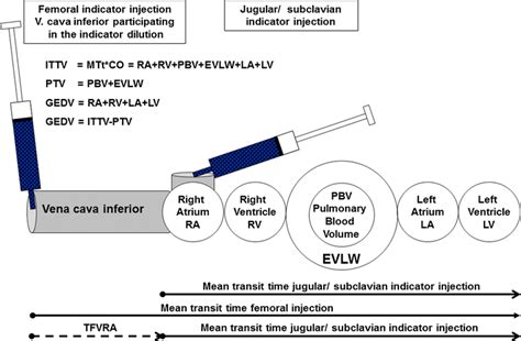 Comparison Of Jugularsubclavian Versus Femoral Indicator Injection For Download Scientific