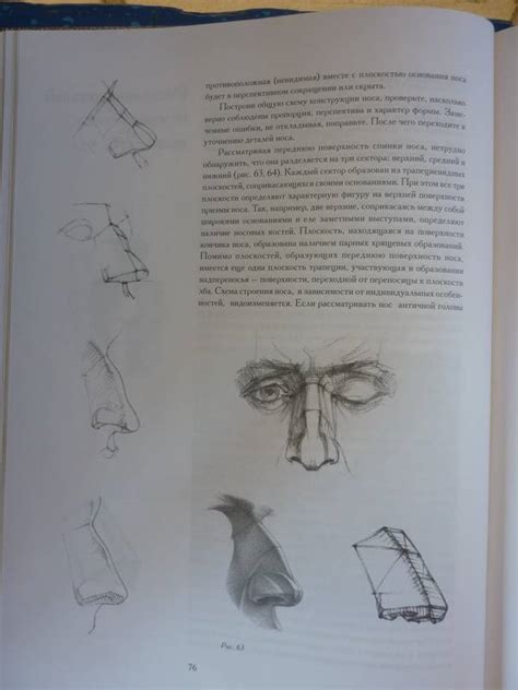 Иллюстрация 28 из 52 для Голова человека Основы учебного академического рисунка Николай Ли