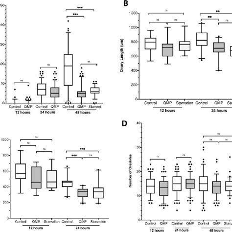 Qmp Induces Repression In The Number Of Mature Oocytes In Drosophila Download Scientific Qmp Induces Repression In The Number Of Mature Oocytes In Drosophila Download Scientific