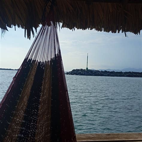 Hotel Coconuts Reviews Puerto Vicente Guerrero Mexico