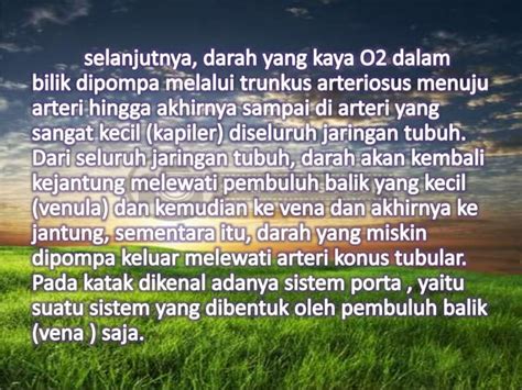 Peredaran Darah Pada Amfibi Ppt