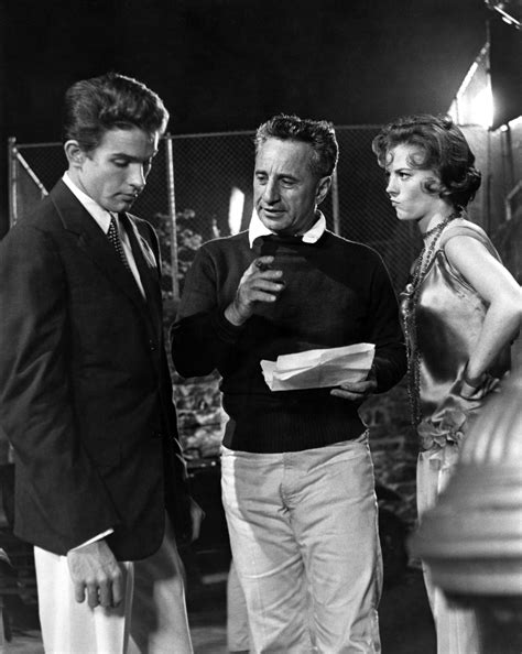 Film Friday Splendor In The Grass 1961
