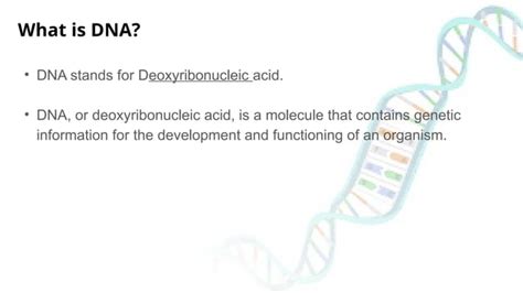 Structure Of Dna And Propertiespptxpptx 1pptx