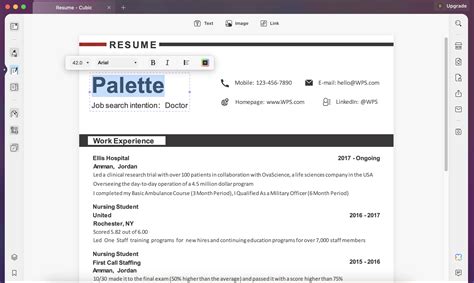 How To Edit Resume In PDF Online And Offline