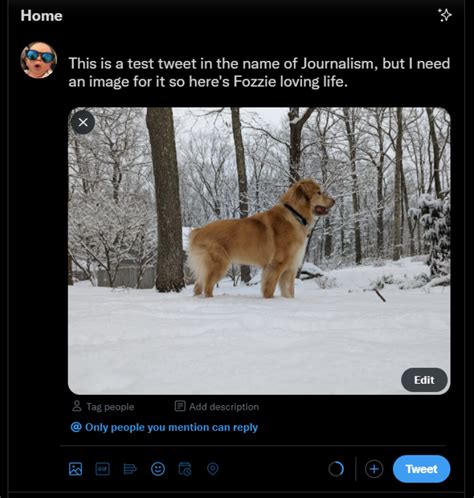 Twitter Tip How To Add A Content Warning To Your Photo And Video Tweets Mashable