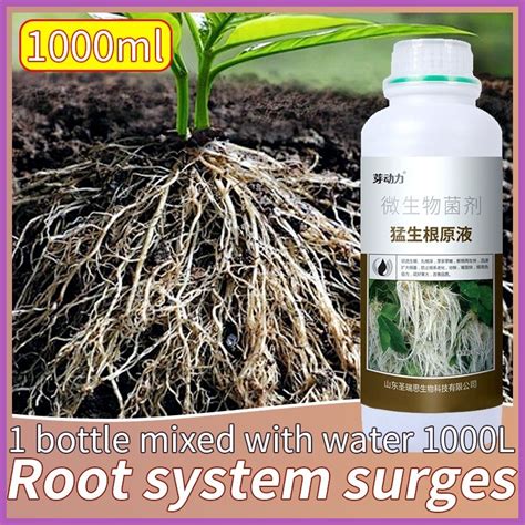 Root System Surges Ultra Rooting 1000g Rooting Hormones For Plant