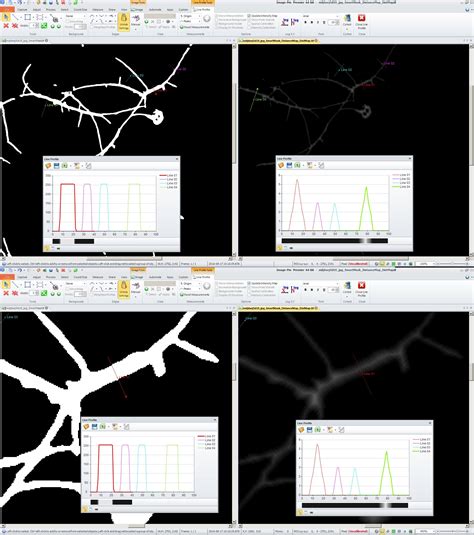 Fiber App And Segmentation Media Cybernetics Image Analysis Forums