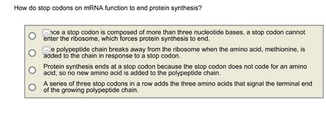 Solved How Do Stop Codons On Mrna Function To End Protein