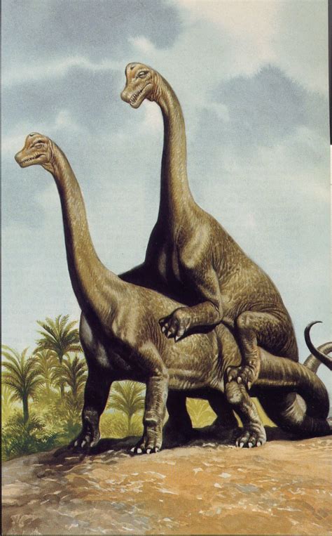 Rule 34 Dinosaur Female Long Neck Long Tail Male Plant Scalie Sex