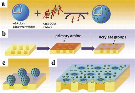 Fabrication Of Biomimetic And Bioinspired Membranes Intechopen