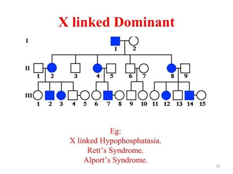 Modes Of Inheritance Pptx