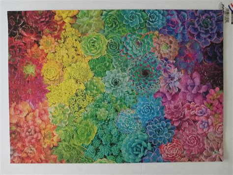 Entry Buffalo Games Vivid Collection Succulent Rainbow 300pcs R