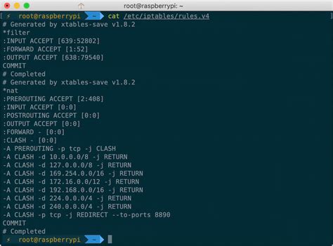 在 raspberry pi 上运行 clash 作为透明代理 tech cafe