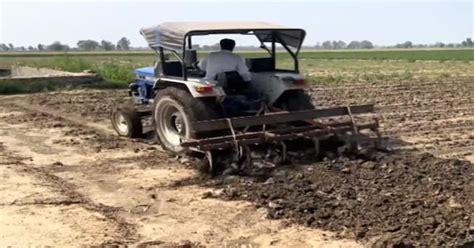 Punjab Farmer Suffers Huge Loss As Unseasonal Rain Destroys Crop