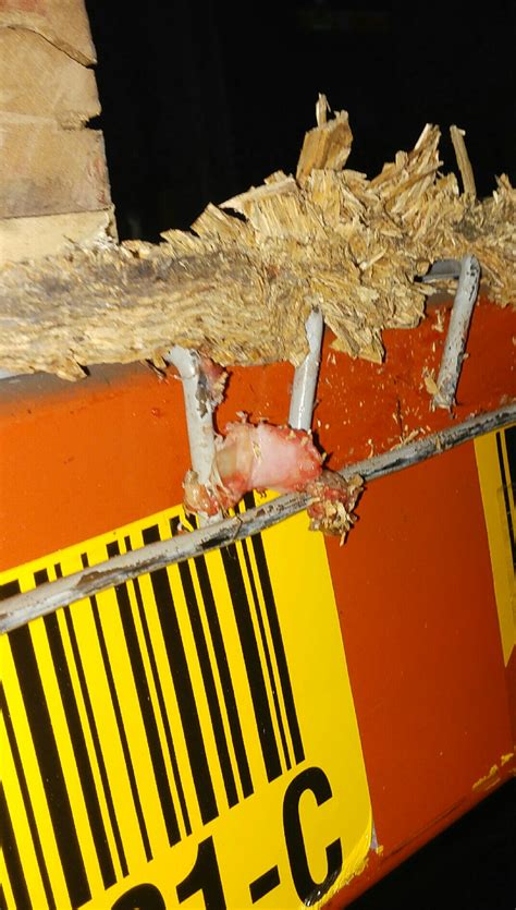 Hey Buddy I Think You Lost Your Thumb Imgur