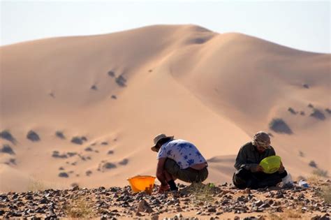 Гробница на 7 000 години в Оман пази десетки скелети на праисторически хора National