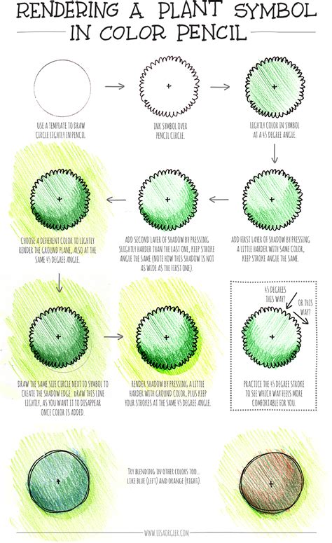 Rendering Plant Symbols With Color Pencil