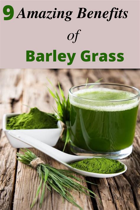 9 Amazing Health Benefits Of Barley Grass
