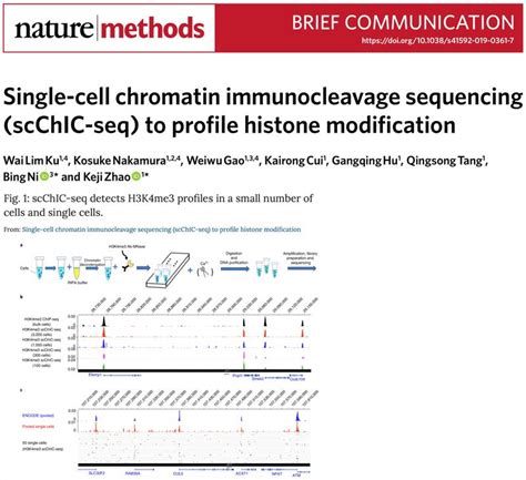 Single Cell Chromatin Immunocleavage Sequencing Scchic Seq To Profile Histone Modification