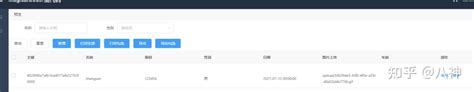 【java一键生成神器】5分钟搞定springboot And Vue项目！ 知乎