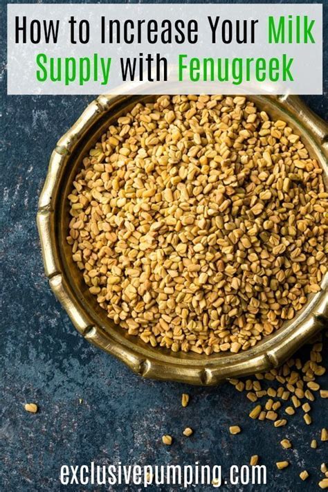 Struggling With Low Milk Supply Fenugreek Is A Galactagogue That Can