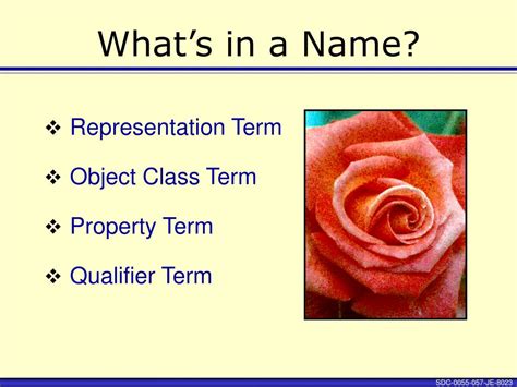 PPT ISO IEC 11179 Part 5 Naming And Identification Principles For Data Elements PowerPoint