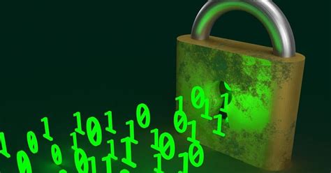 Vanessa R Canales On Linkedin The Fall Of The National Vulnerability