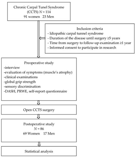 flow chart detailing the research procedure download scientific diagram