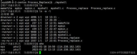 linux进程控制 进程替换） execl 把子进程替换为ls进程 csdn博客