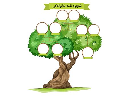 فایل شجره‌نامه خانوادگی ابزار آموزشی 14 ایگوری گرافیک مرکز خرید
