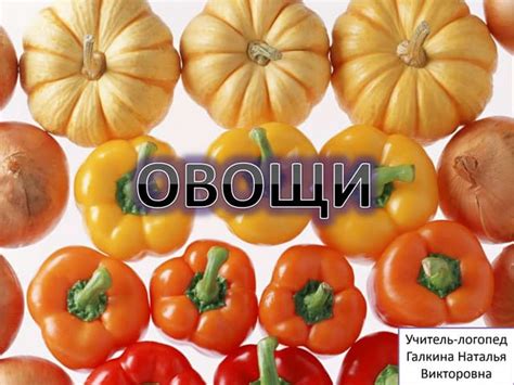 логопедическое занятие лексическая тема овощи Pptx