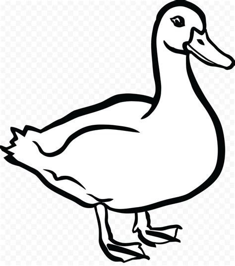Drawing Of A Duck Simple Warehouse Of Ideas