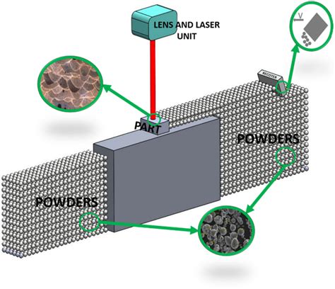 Schematic Representation Of The Dmls System Download Scientific Diagram