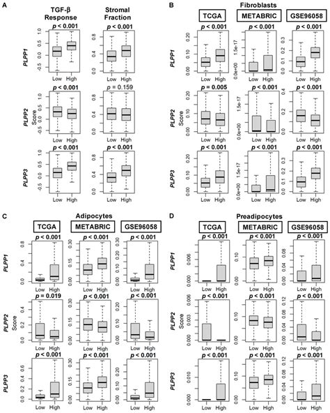 TGF β and stromal fraction scores and fibroblast adipocyte and
