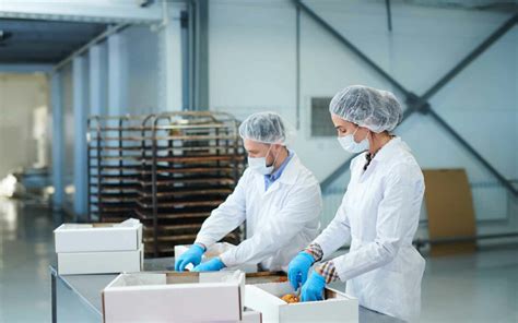 ¿qué Es La Seguridad Alimentaria Y Cómo Garantizarla Papelmatic