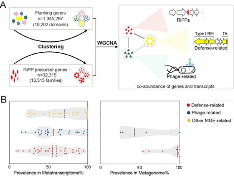 Correlation Analysis Suggests Putative Ecological Functions Of Ripps In