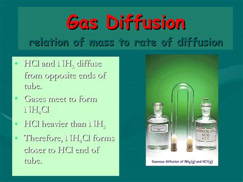 Diffusion Of Gases Ppt