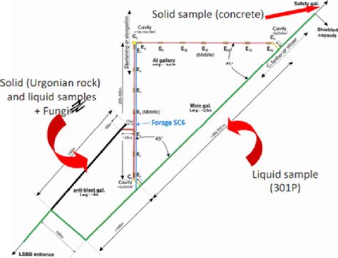 Localization Of The Sampling Area Download Scientific Diagram