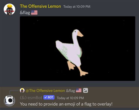 Flag Command Doesnt Appear To Work · Issue 293 · Esmbotesmbot · Github