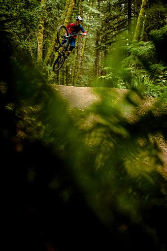 산악 자전거 타는 사람은 아침에 숲이 우거진 길을 따라 타다 25 29세에 대한 스톡 사진 및 기타 이미지 25 29세 개성 개념 건강한 생활방식 Istock