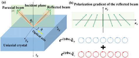 Principle For The Anisotropy Induced Photonic Spin Hall Effect A A