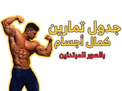 جدول تمارين كمال الاجسام للمبتدئين بالصور كامل Pdf Gym Workouts For