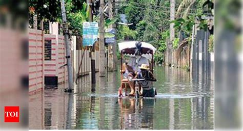 Assam Flood 2020 Toll Rises To 67 As 8 More Die In Assam Floods 36
