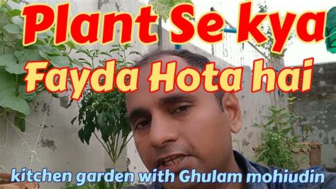 Plant Se Kya Fayda Hota Hai Life Style With Gmd Youtube