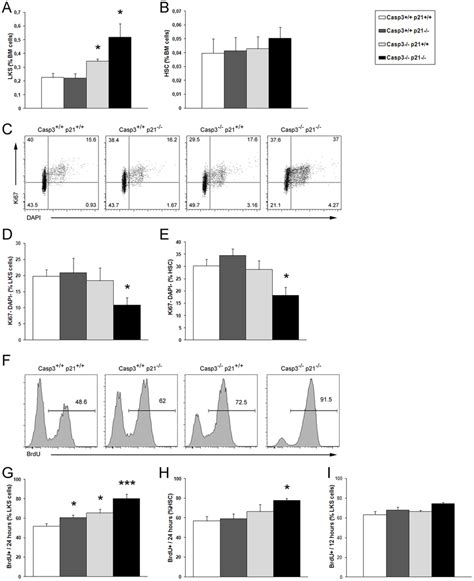 Increased Hspc Population Size And Proliferation Rate In The Dko Mouse