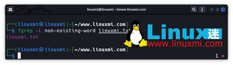 如何在 linux 中使用 fgrep 命令搜索字符串 linux迷