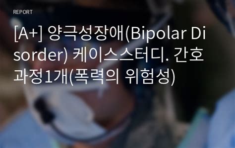A 양극성장애bipolar Disorder 케이스스터디 간호과정1개폭력의 위험성 레포트