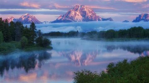 Vue项目中使用mxgraph流程图 知乎