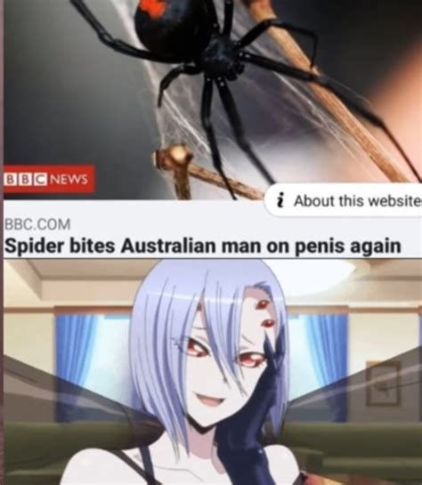 Is Monster Musume Everyday Life With Monster Girls Set In Australia I